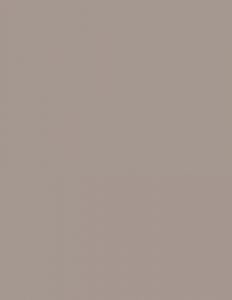 L 577 True Taupe Formica – GMAD Taboão Madeiras